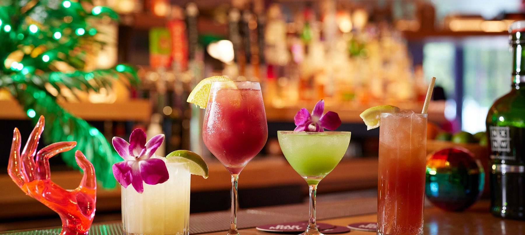 Home [www.moxyyouniversity.com]